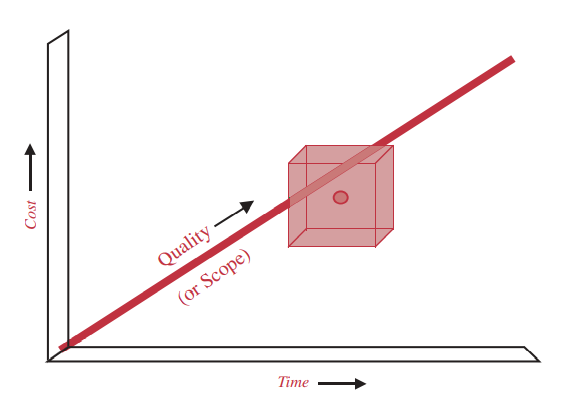 THE MANY FACES OF SUCCESS IN PROJECT MANAGEMENT