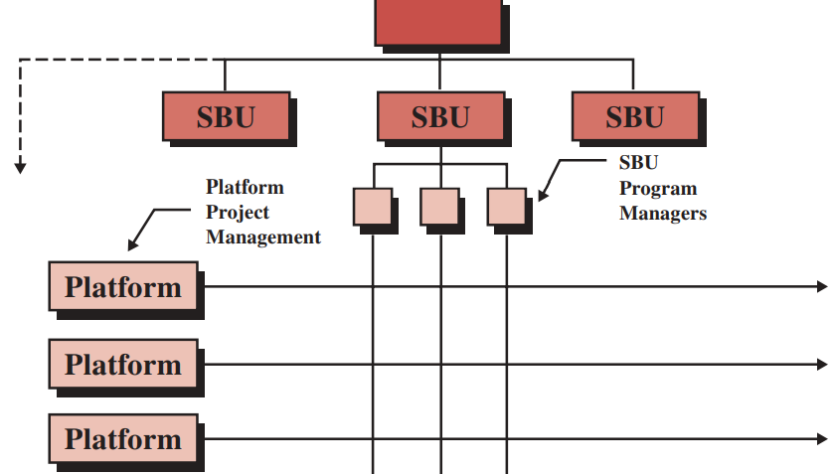 STRATEGIC BUSINESS UNIT (SBU) PROJECT MANAGEMENT
