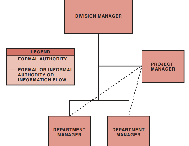 LINE–STAFF ORGANIZATION (PROJECT COORDINATOR)