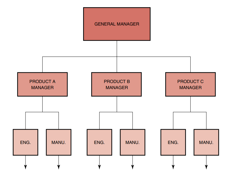 PURE PRODUCT (PROJECTIZED) ORGANIZATION